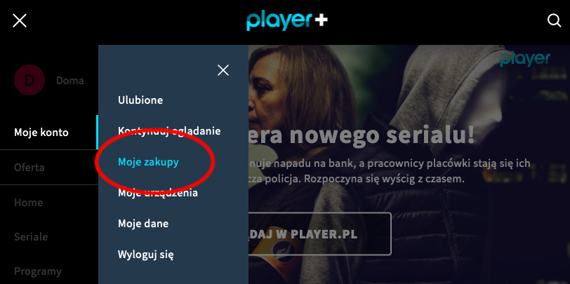 Player.logowanie